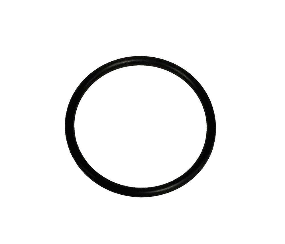 U9-226Z - MasterTemp Water System O-Ring - Pentair