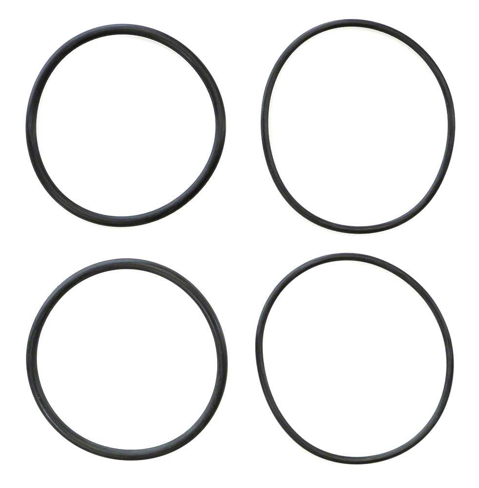 006724F - R185A-405A O-Ring Inlet/Outlet Pool - Raypak