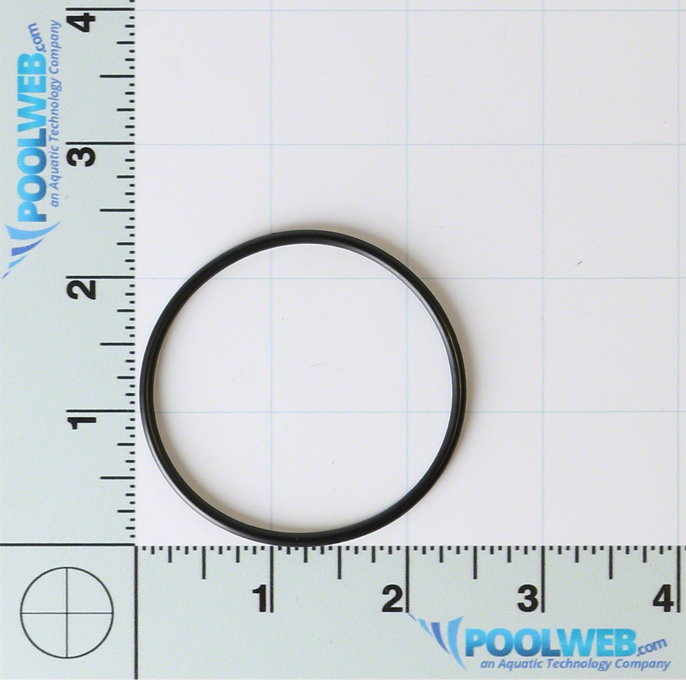 59000600 - FNS Plus Stand Pipe O-Ring - Pentair