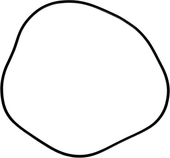 081113 - Doughboy Sand Filter O-Ring