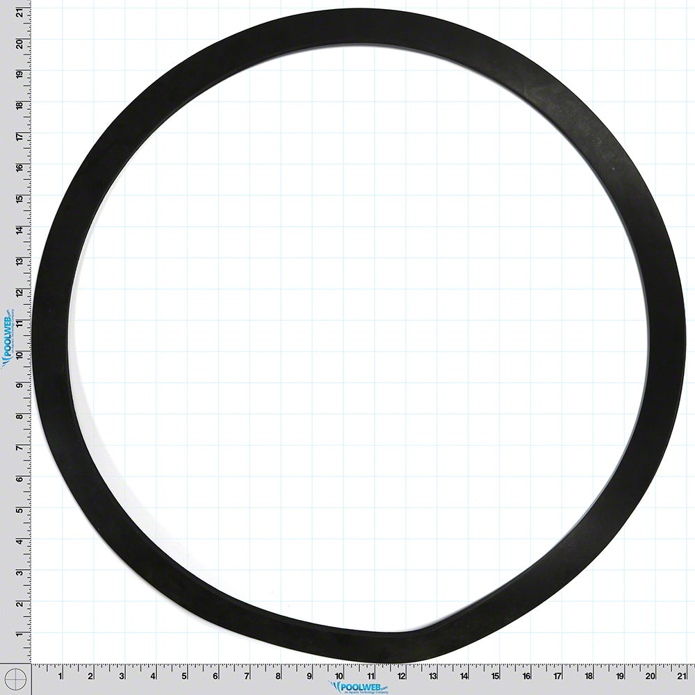 150NBGSK18R1 - Gasket for 14 Inch Strainer - Neptune Benson
