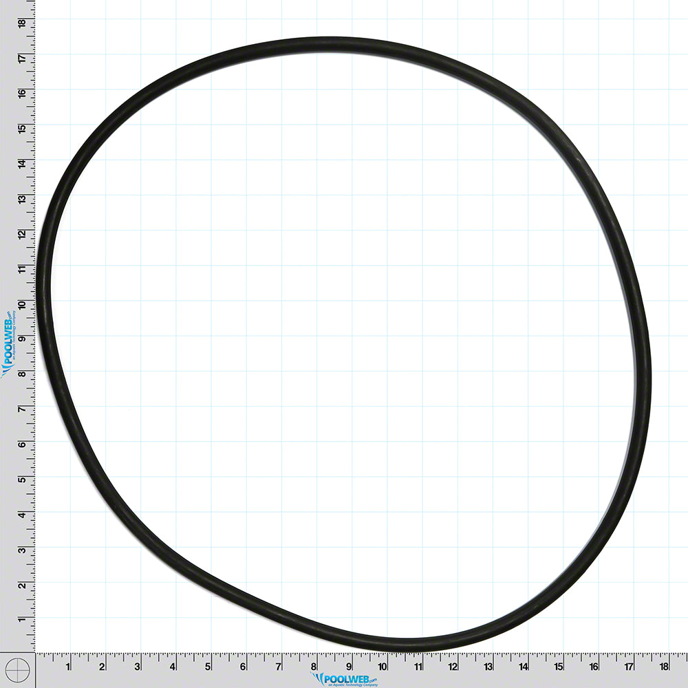 53008800Z - Tank O-Ring - Pentair
