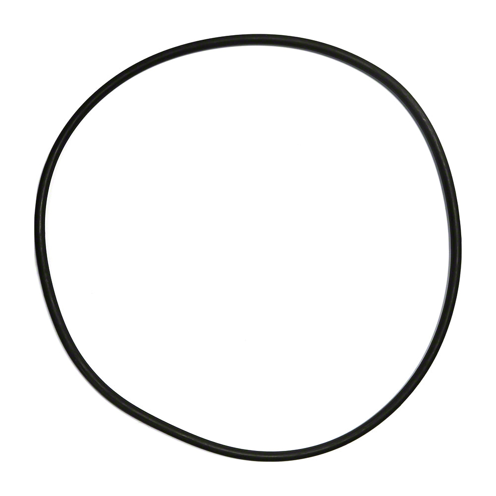 87300400 - Filter Tank Body O-Ring - Pentair
