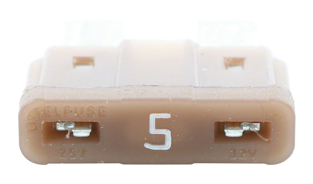 013733F - Fuse 5 Amp PC Board Kit - Raypak
