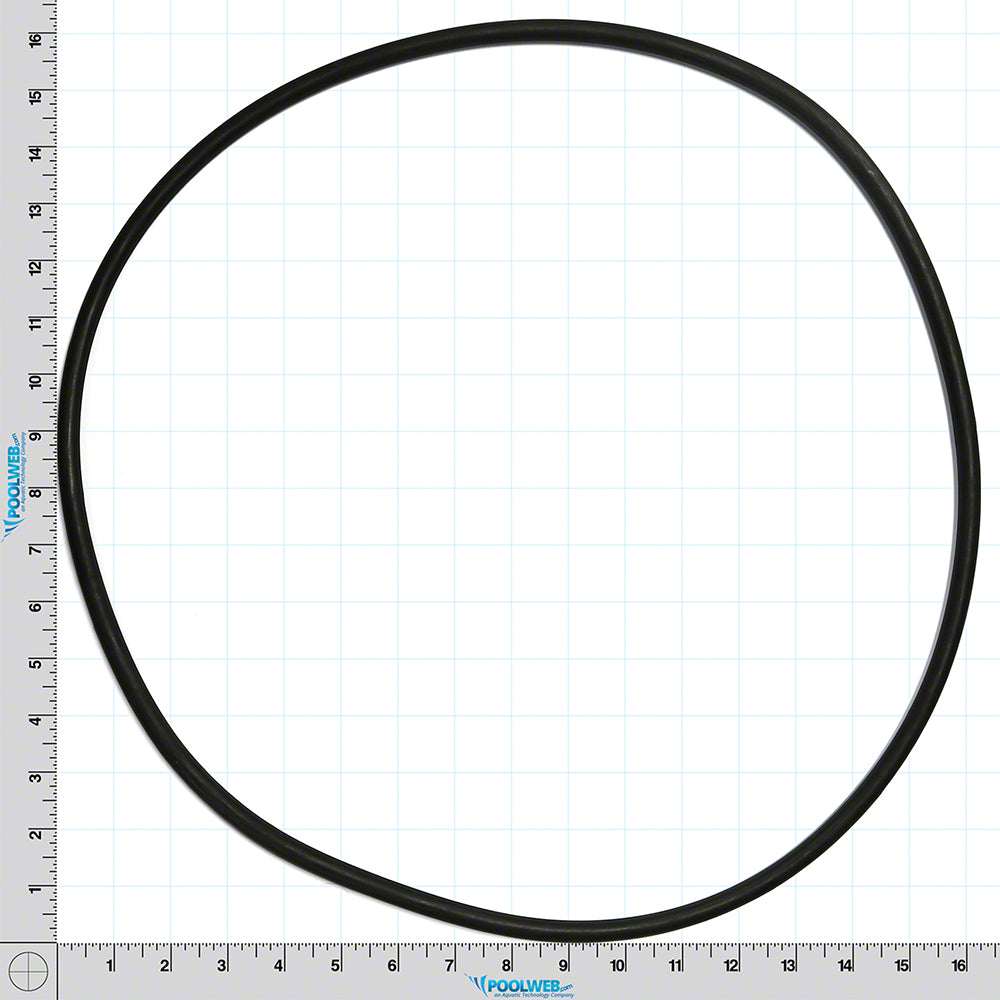 CCX1000G - XStream Tank O-Ring - Hayward