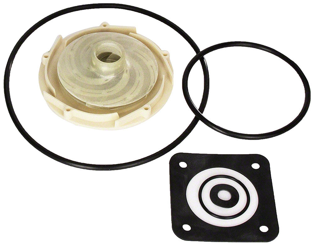 PP1011 - Overhaul Kit PE PR P2R With - Pentair