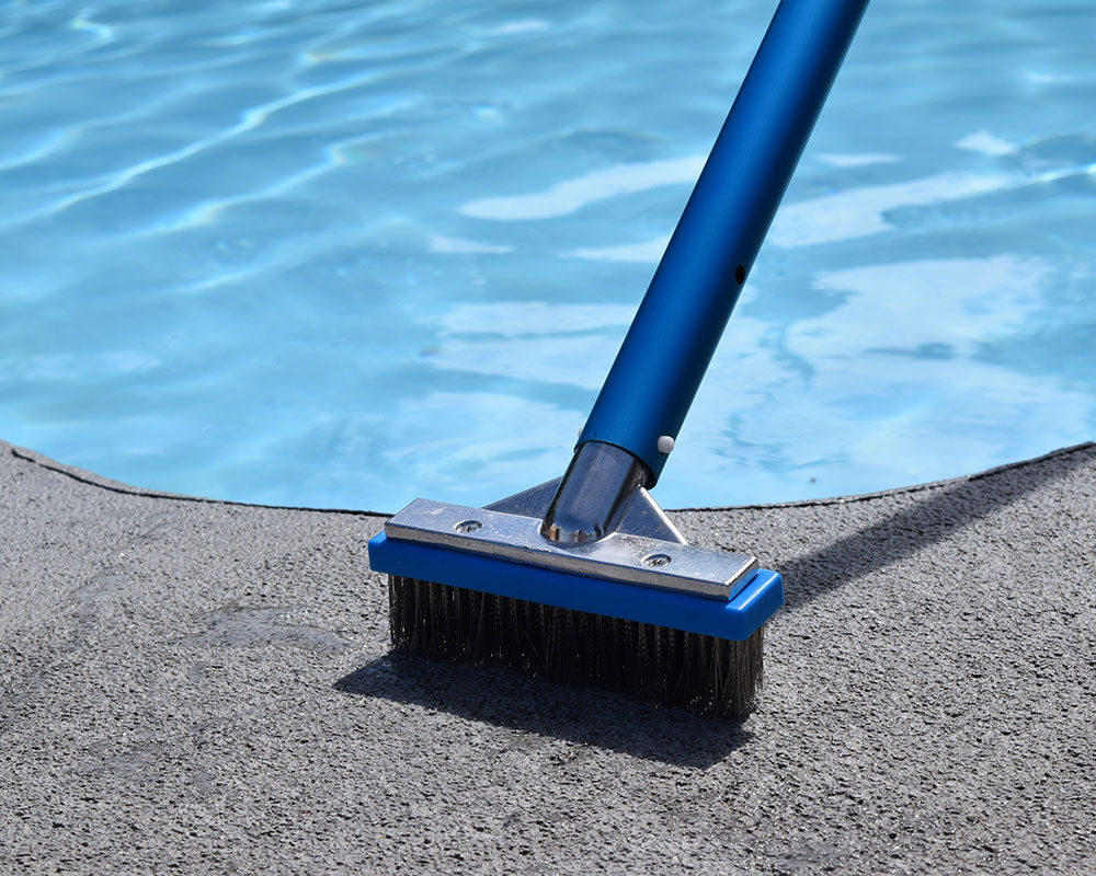Pool Algae Stainless Brush - 6 Inch - Rainbow R111616