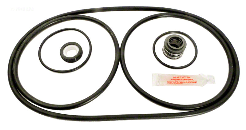 Pentair Challenger Pump Repair Kit With Seal and O-Rings