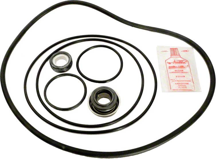 AquaFlo Dominator Pump Repair Kit With Seal and O-Rings Pre-1995