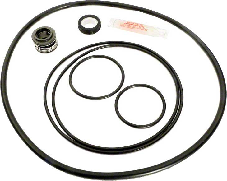 AquaFlo Dominator Pump Repair Kit With Seal and O-Rings Post-1995