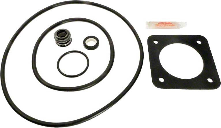 P2R/P2RA - Sta-Rite Pump Repair Kit With Seal and O-Rings