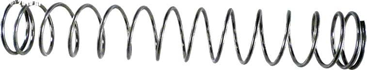 072524 - Ortega Check Valve #3 Spring - Stainless Steel - Pentair