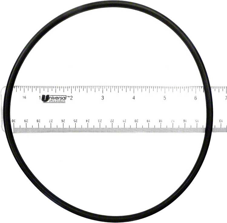 C20-97 - Pump Gasket Volute O-Ring - Pentair