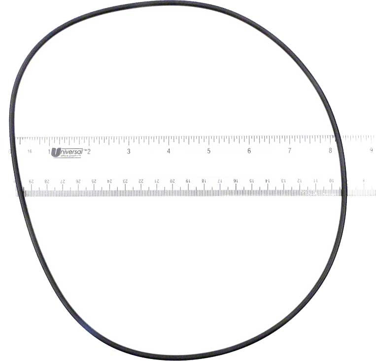 P24306 - Purex Tahitian Filter Lid O-Ring