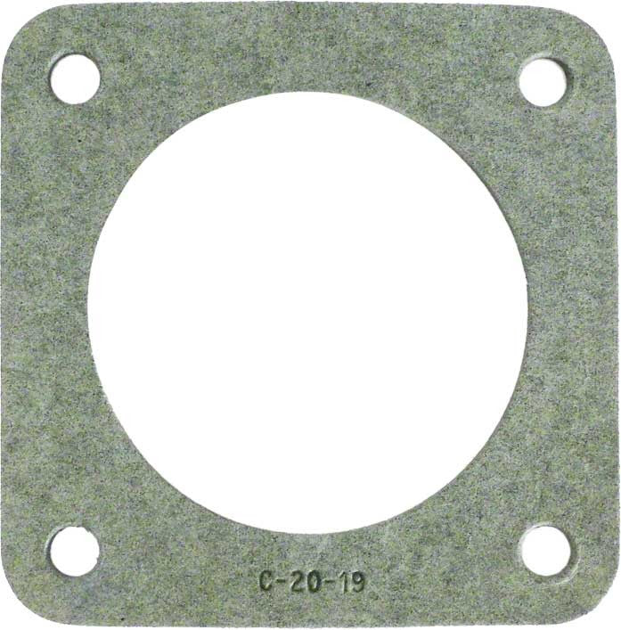 C20-19 - Trap Gasket - Pentair